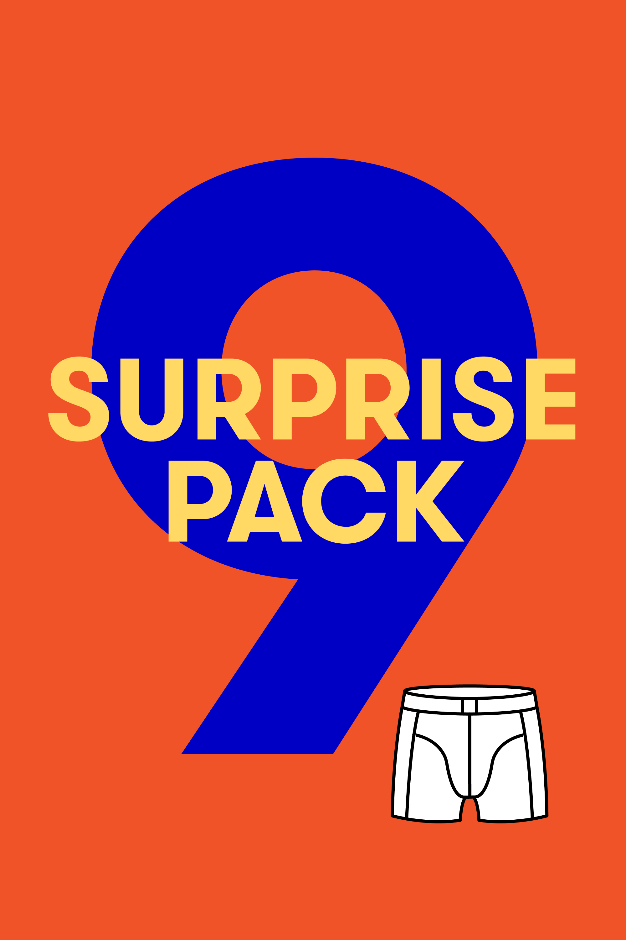 Boxer Brief Surprise 9x | A-dam